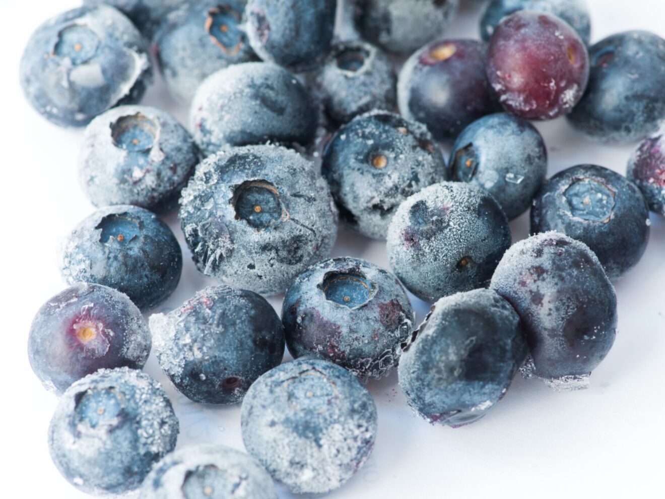 IQF – Blueberries – Halal – Ascona International Corporation